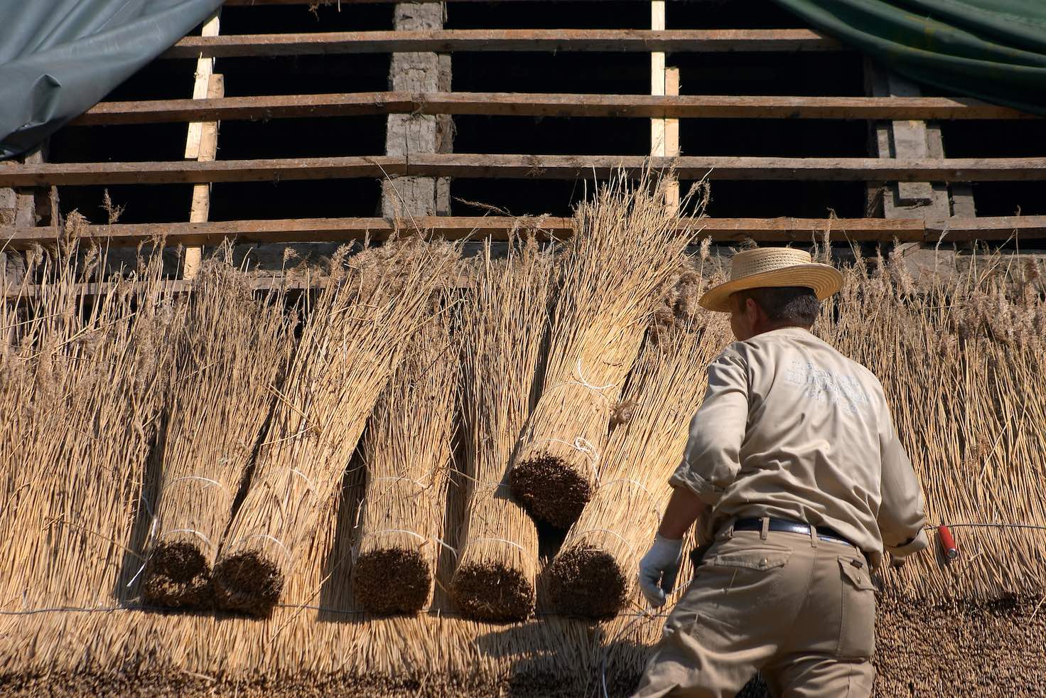 Best Building Materials For Walls: Beginners Guide